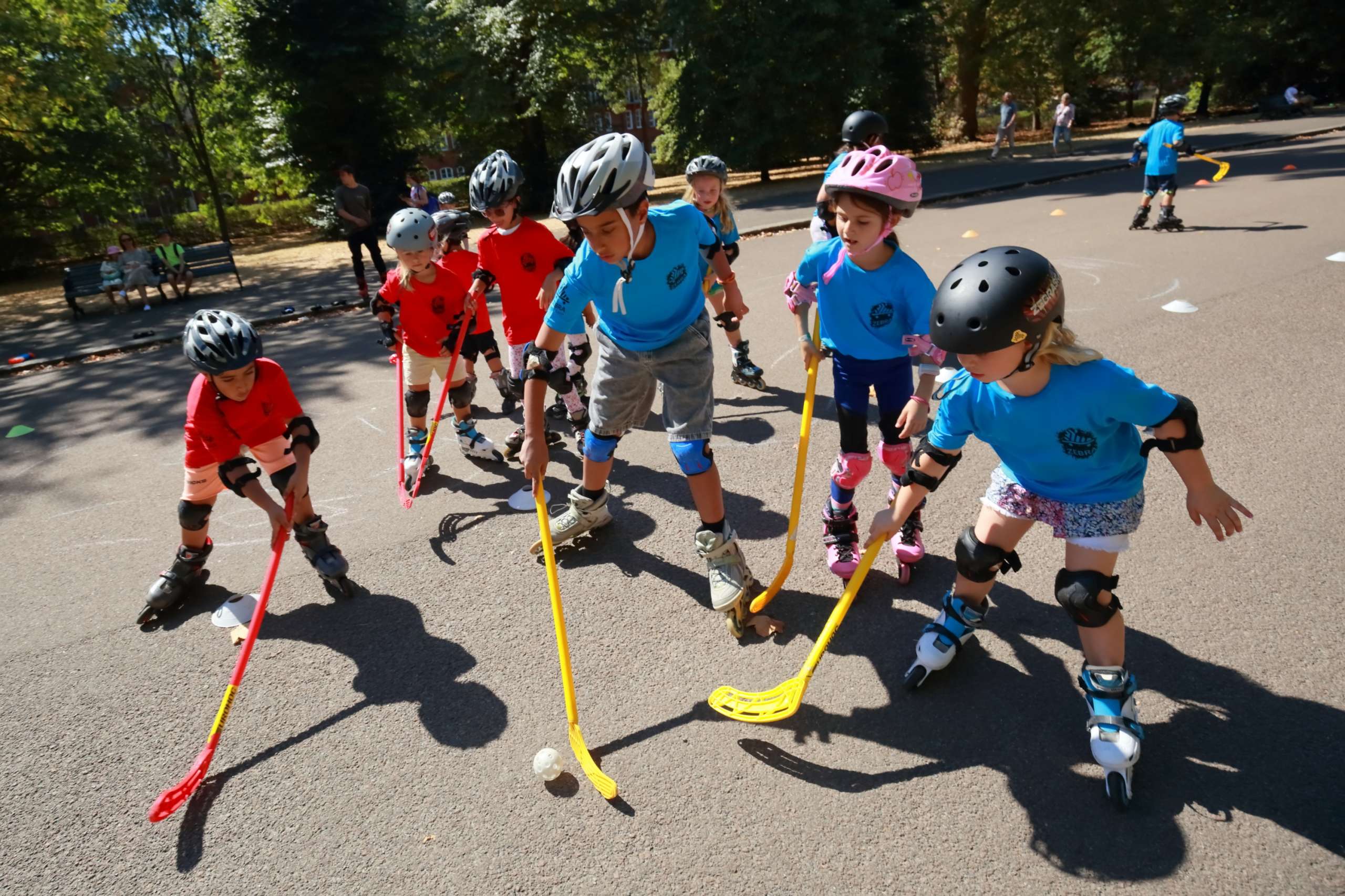 Zebra – Holiday Camp